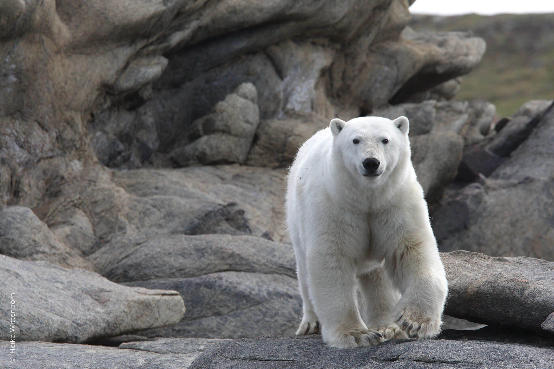 Tourisme Autochtone Québec - Aventures Inuit